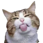 clap clap clap - getsticker.com - Stickers for WhatsApp and iMessage ...